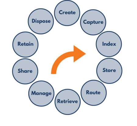 Document Lifecycle Management Software | IntelliChief